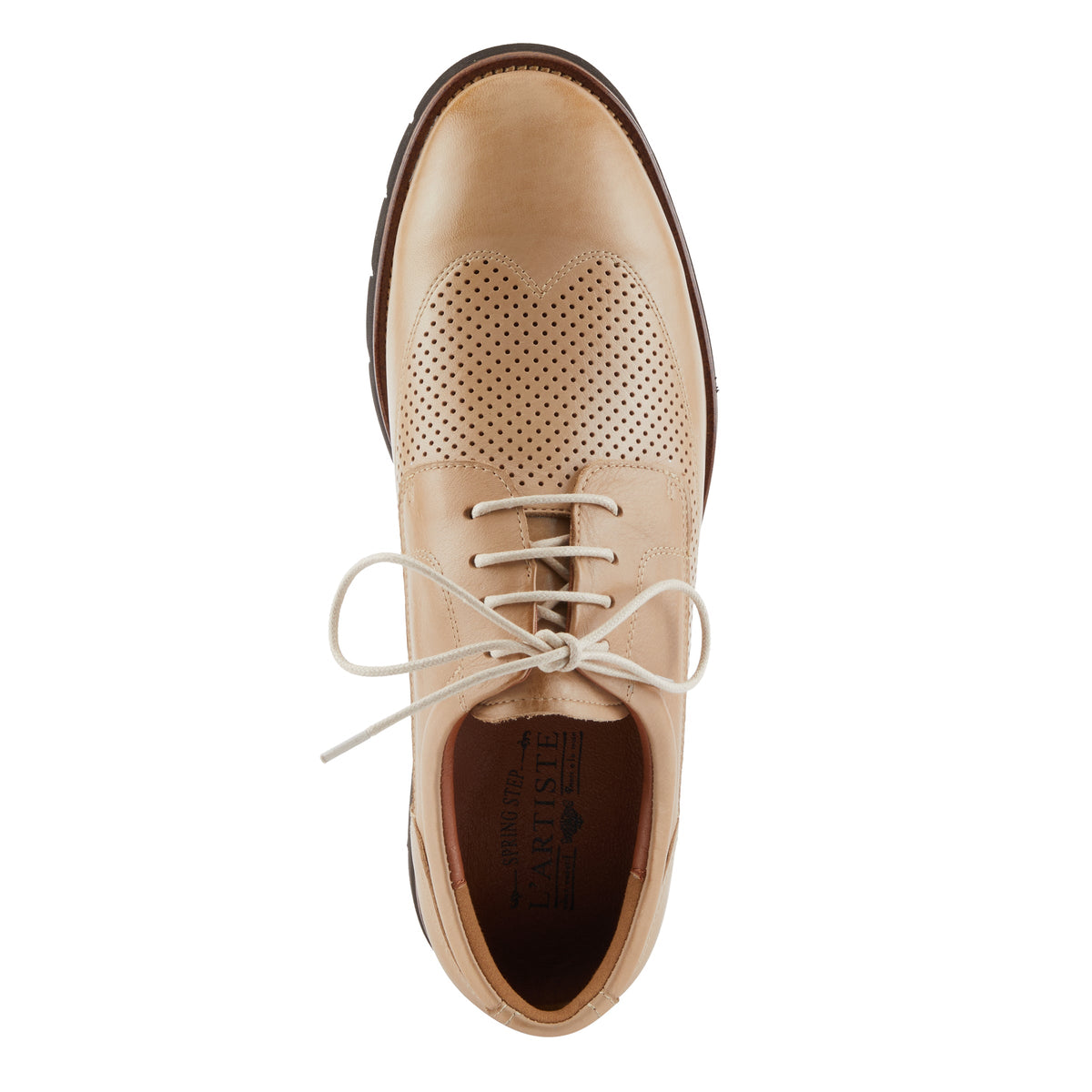 L'artiste Men Adler Shoes: Leather Shoes – Spring Step Shoes