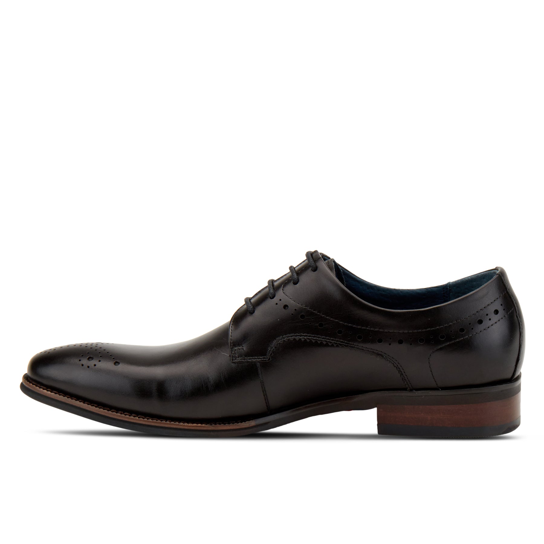 BROWN CHARLIE LACE-UP SHOE by SPRING STEP MEN – Spring Step Shoes