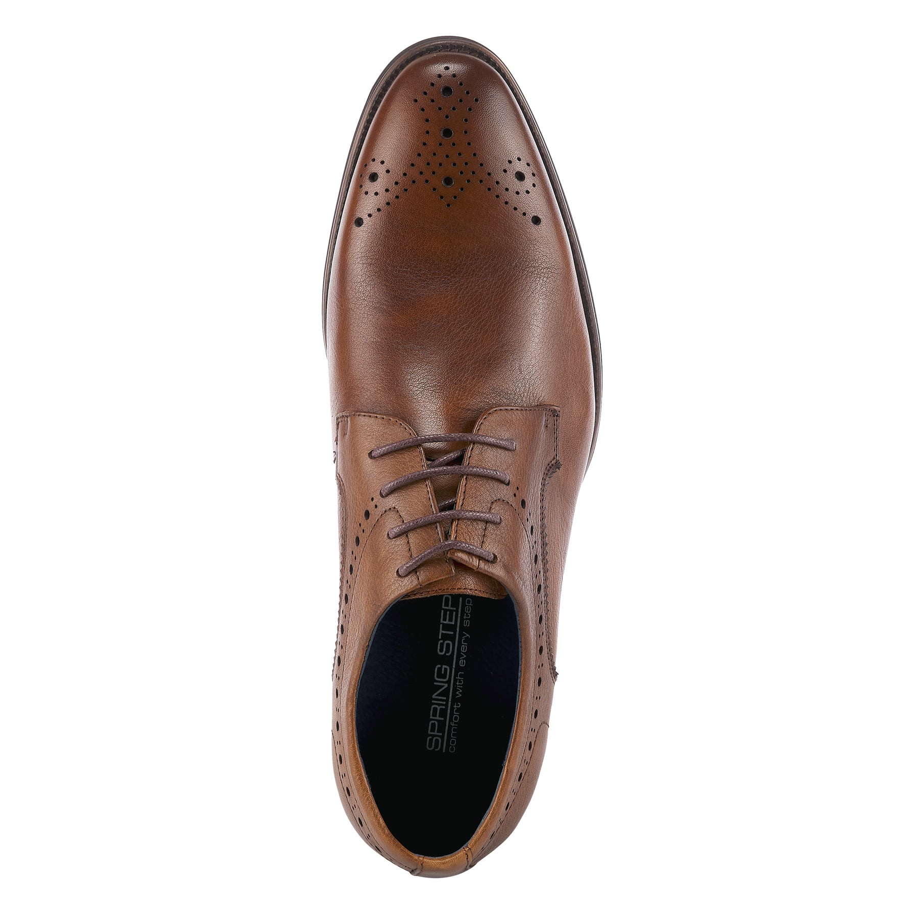 BROWN CHARLIE LACE-UP SHOE by SPRING STEP MEN – Spring Step Shoes