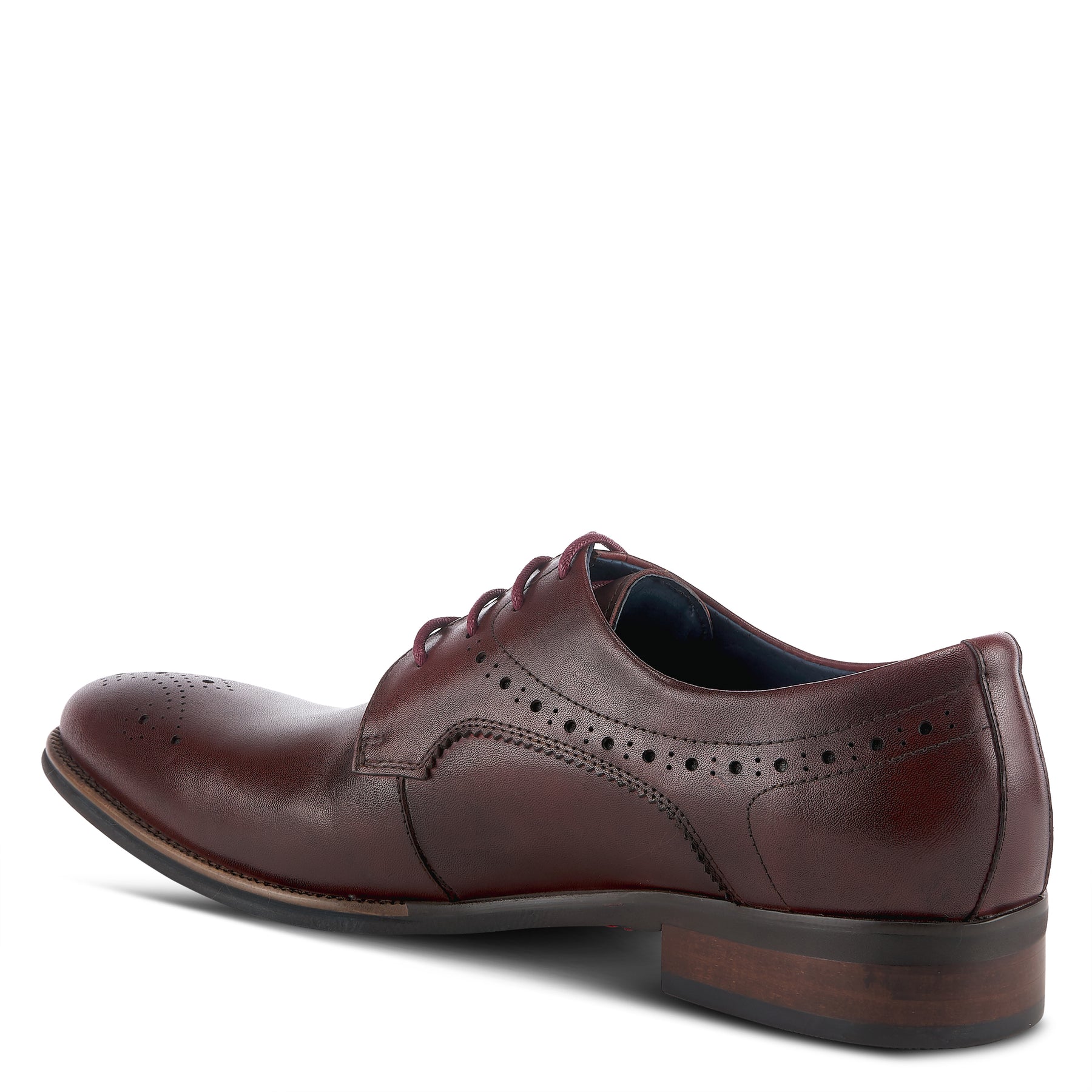 BROWN CHARLIE LACE-UP SHOE by SPRING STEP MEN – Spring Step Shoes